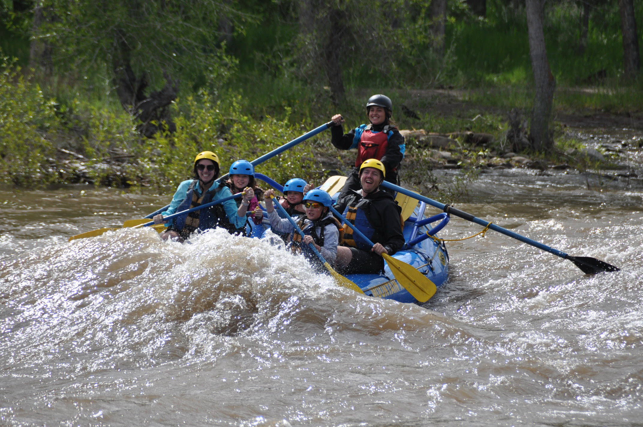 Member Spotlight: David Ostlund | RVIA